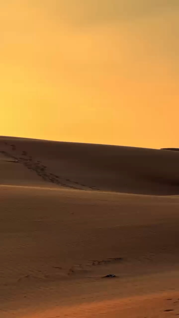 Liwa International Festival 2025–2026 | Abu Dhabi