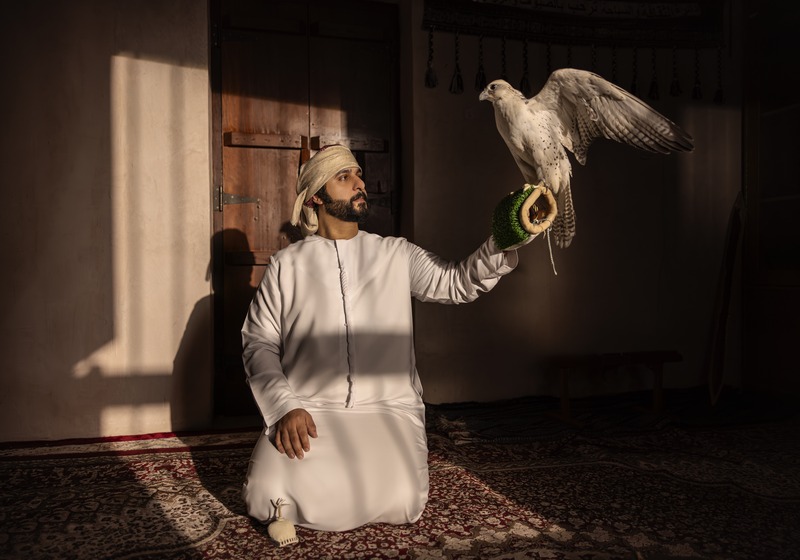 Experience Liwa | Abu Dhabi | Liwa International Festival