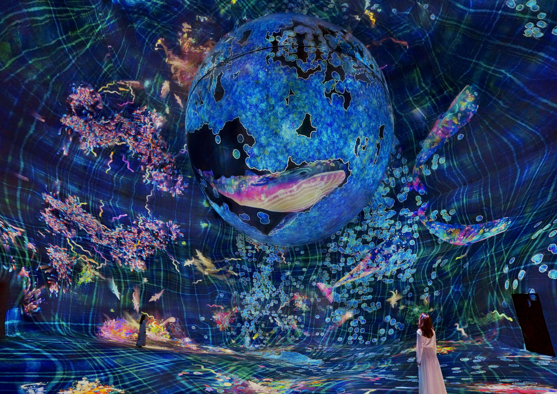 扎耶德 国家博物馆